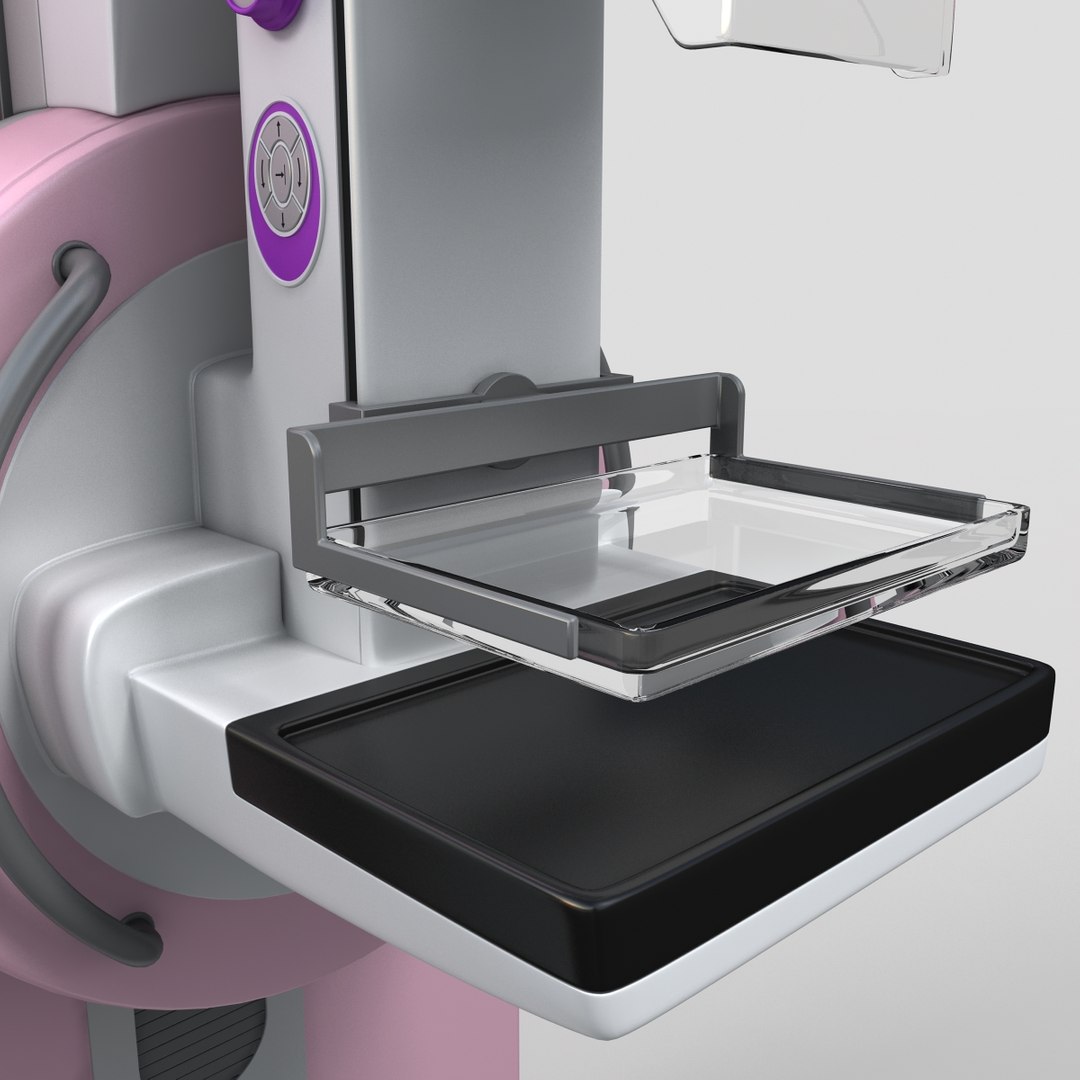 Digital Mammography 3d Model
