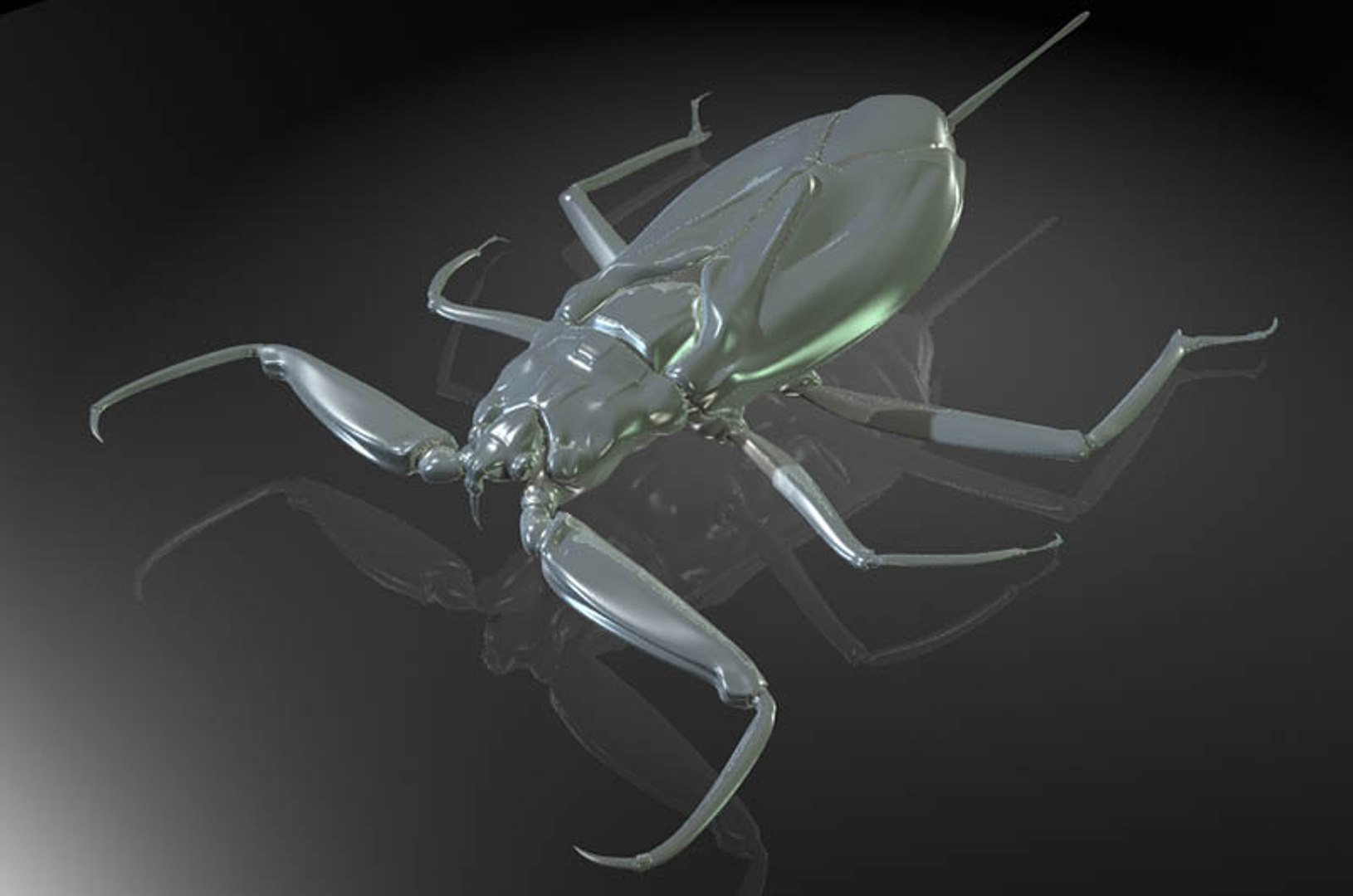 3D nepidae insects - TurboSquid 1324084