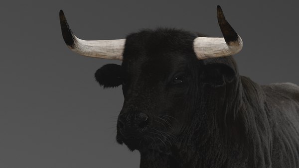 3D bull fur - TurboSquid 1453515