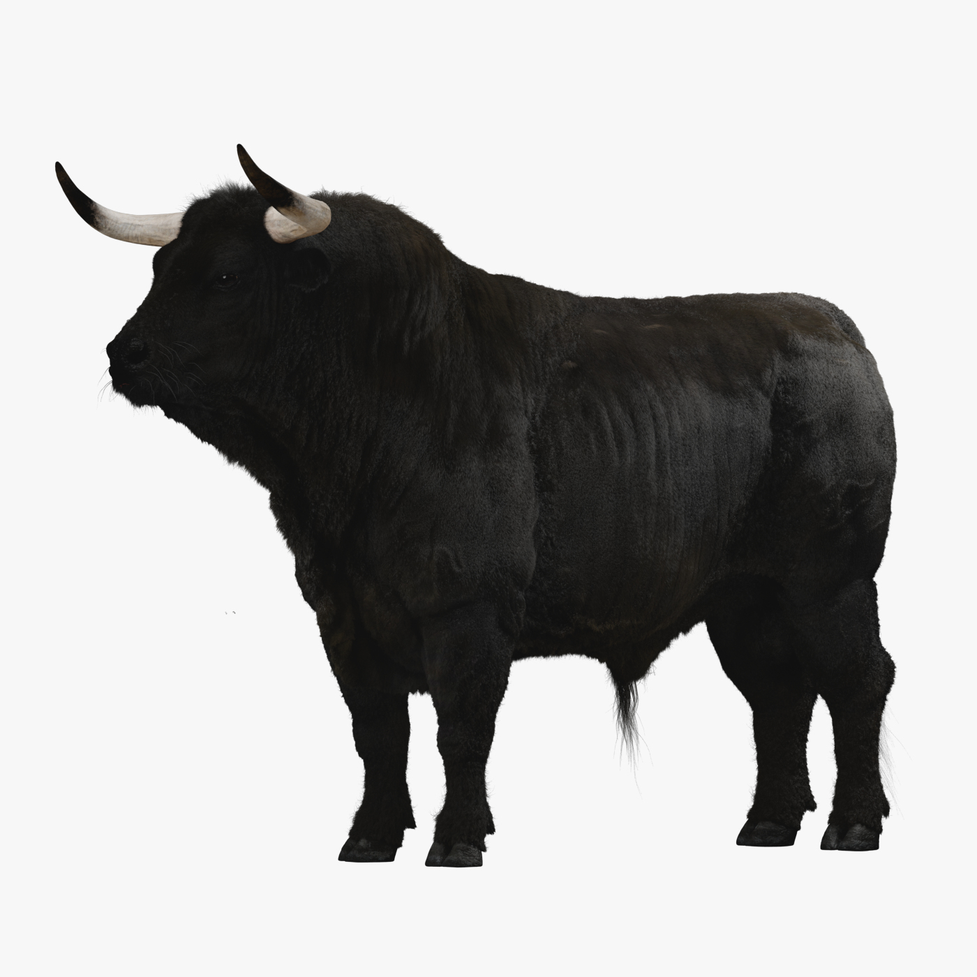 3D bull fur - TurboSquid 1453515