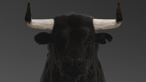 3D bull fur - TurboSquid 1453515
