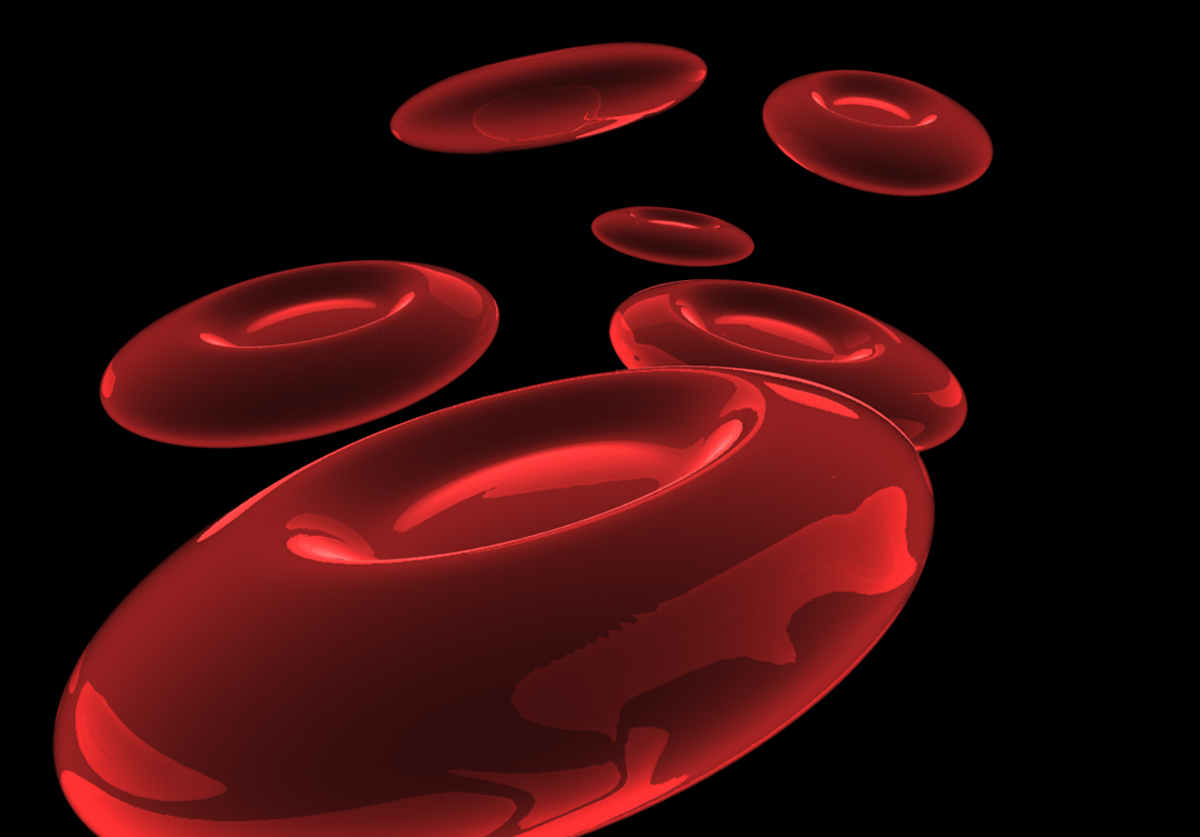 3d rendering red blood cell model
