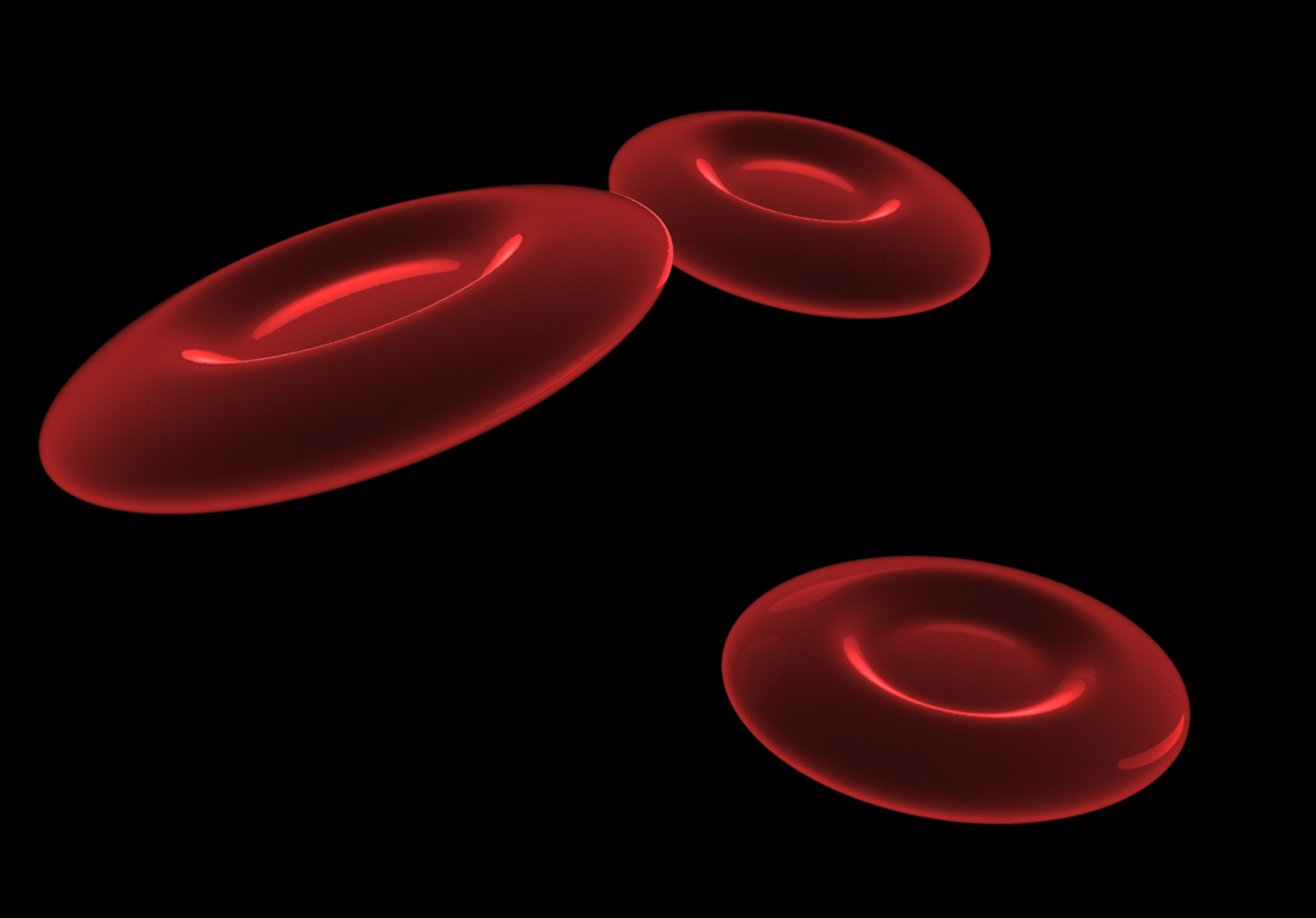 3d rendering red blood cell model