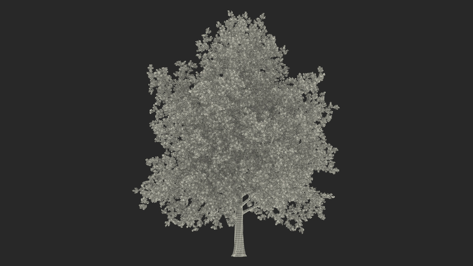 Autumn Maple Tree 3D Model - TurboSquid 2193357