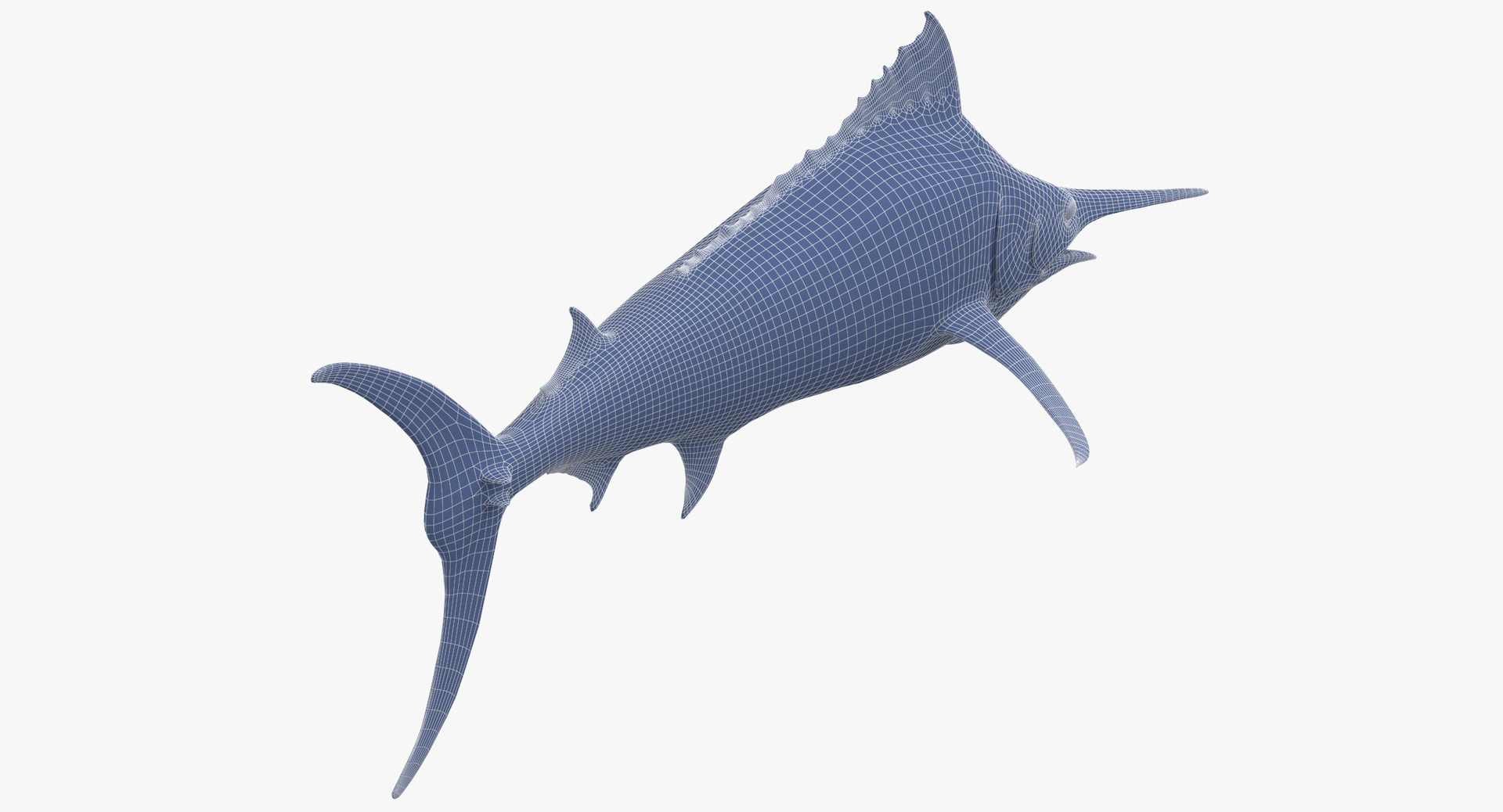 Black marlin 3D model - TurboSquid 1390971