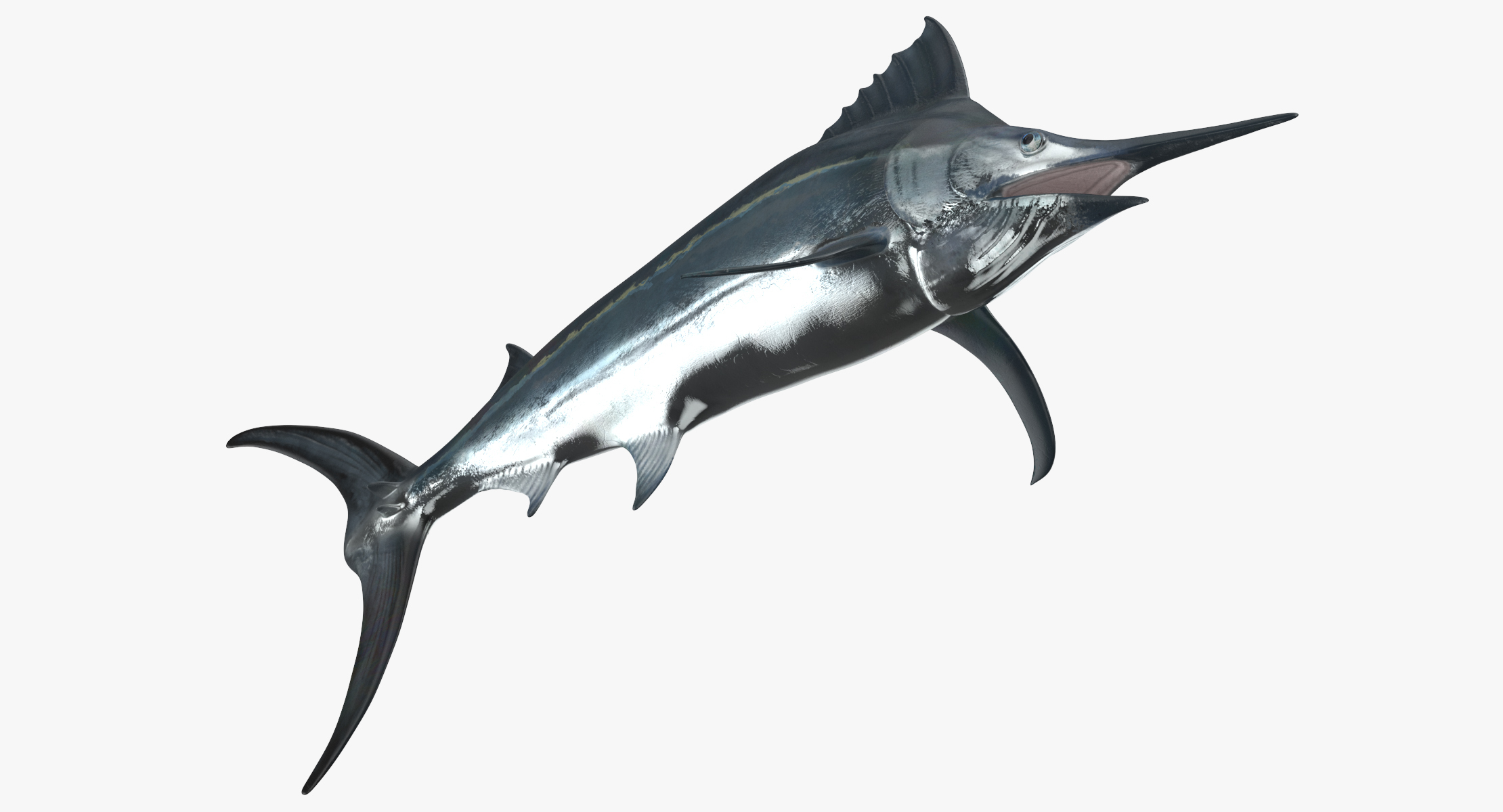 Black marlin 3D model - TurboSquid 1390971
