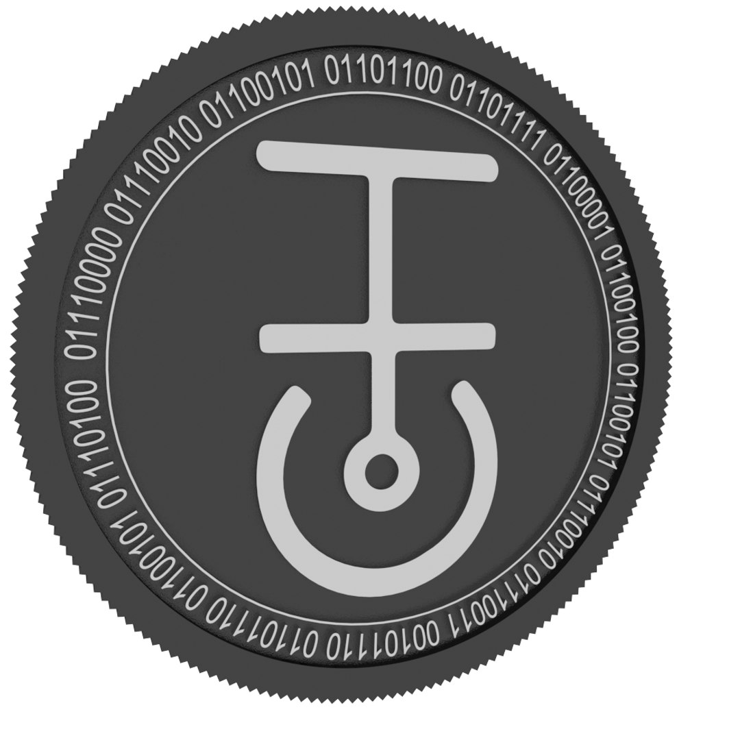 Shipchain black coin 3D model - TurboSquid 1555999
