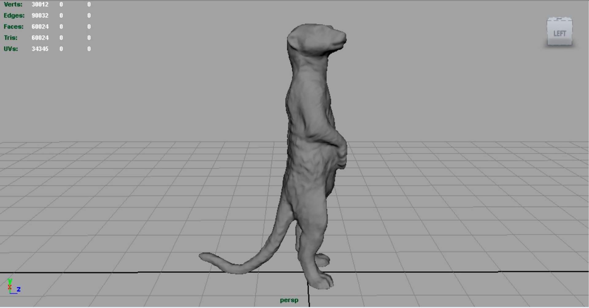 Meerkat 3D Model - TurboSquid 1168081