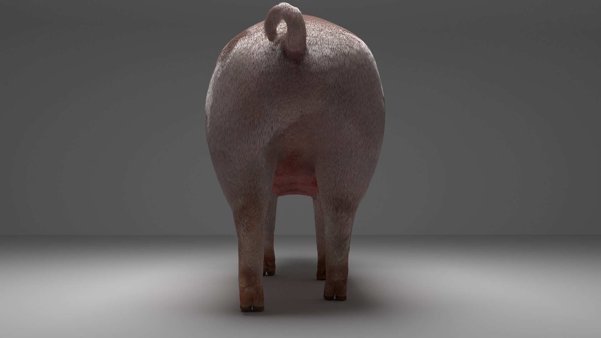 3D Pig - TurboSquid 1790822