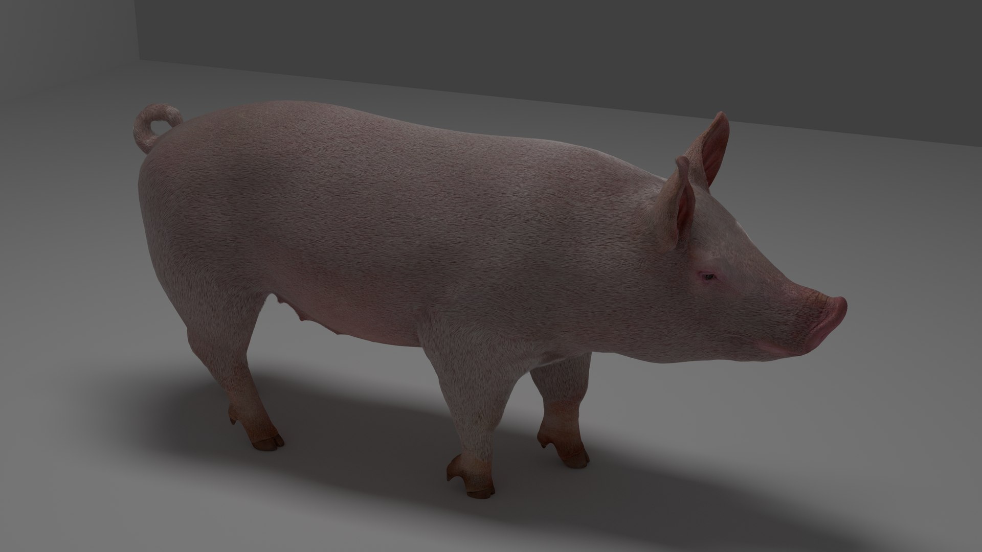 3D Pig - TurboSquid 1790822