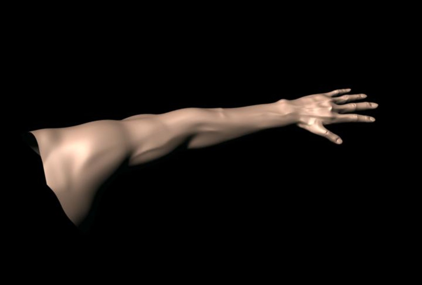 Hand Arm 3d Ma