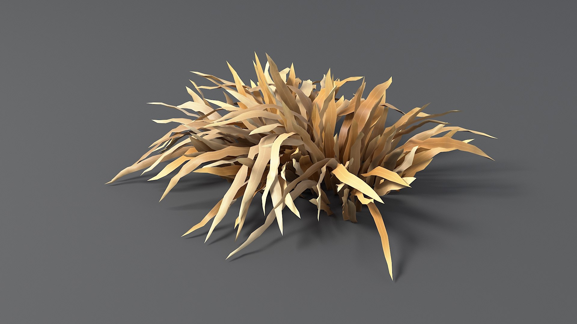Cartoon Dry Grass 09 3D Model - TurboSquid 2047814
