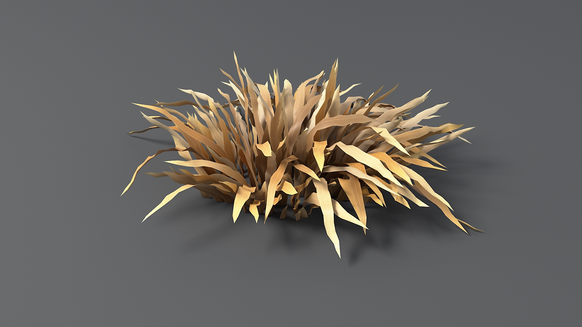 Cartoon Dry Grass 09 3D Model - TurboSquid 2047814
