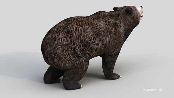 3D model realistic brown - TurboSquid 1455216