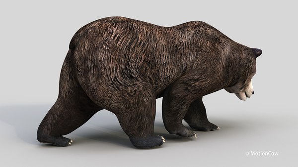 3D model realistic brown - TurboSquid 1455216