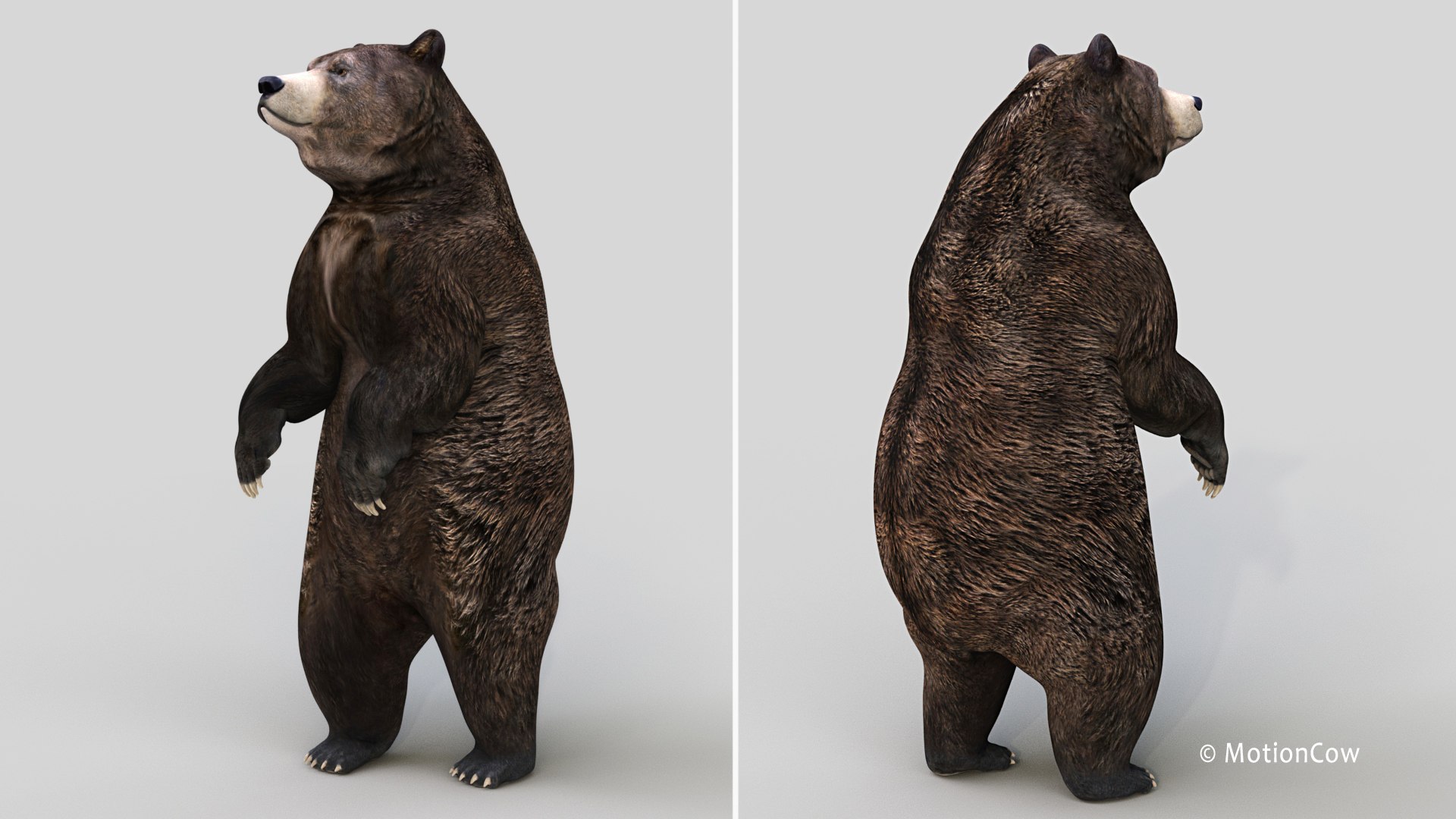 3D Model Realistic Brown - TurboSquid 1455216