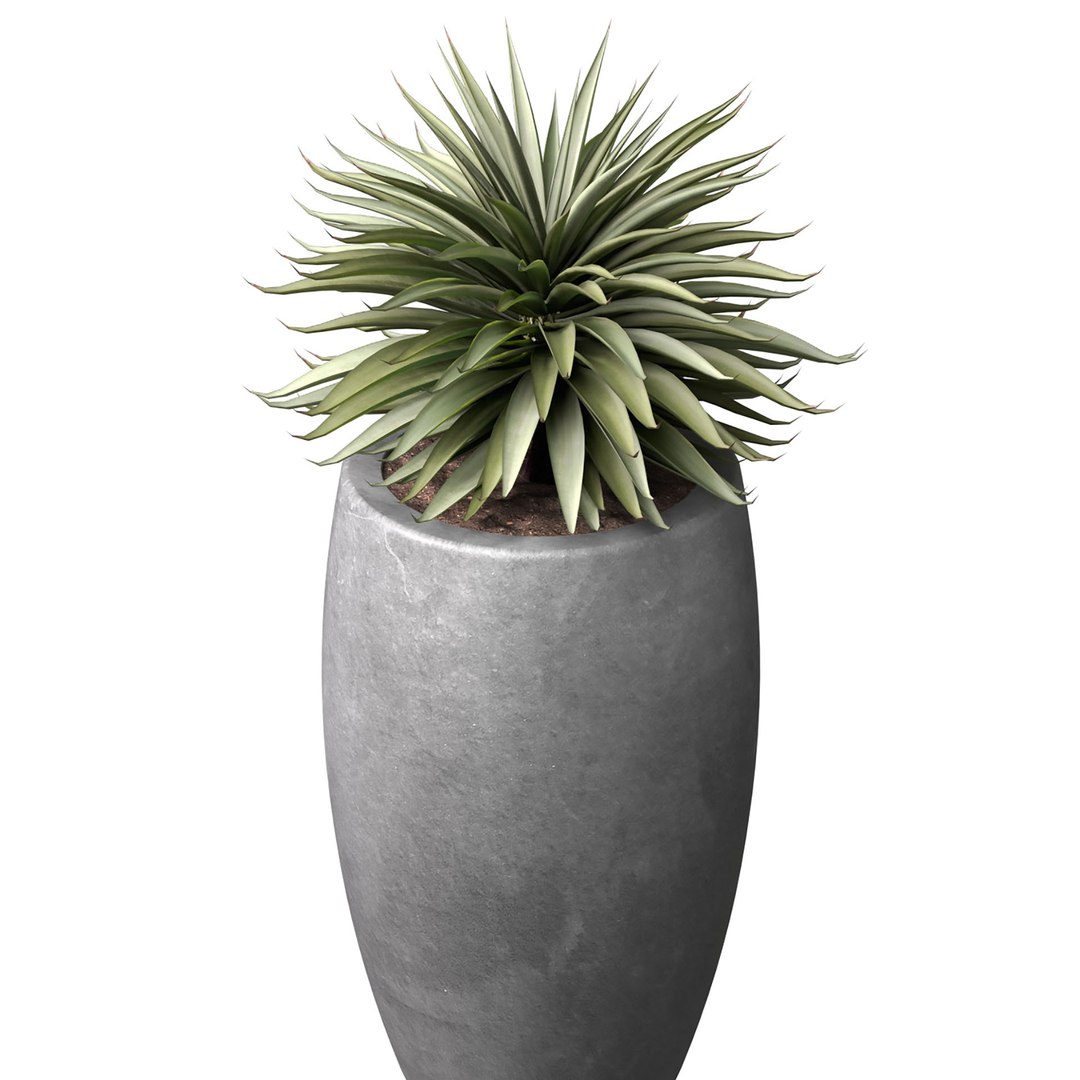 3D Decorative Outdoor Porch Front Entrance Tree - TurboSquid 2118807