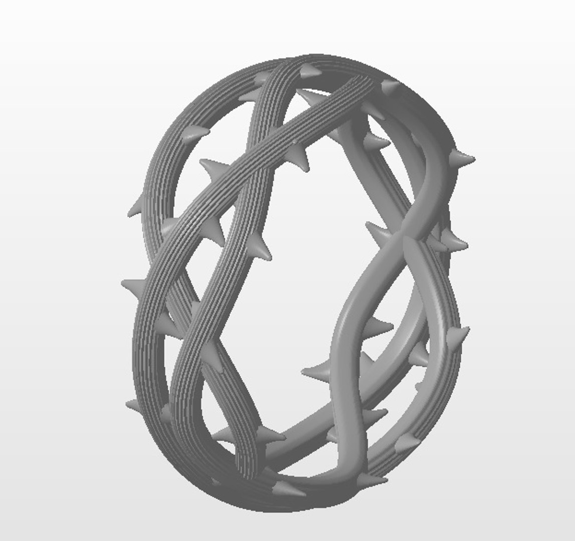 Ring Crown Thorns Model - TurboSquid 1342177