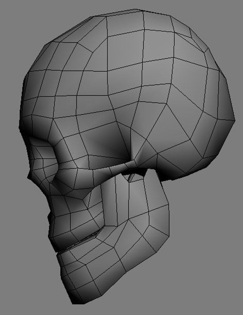 3d skull