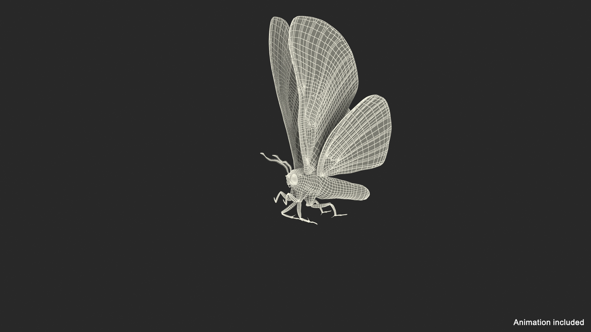 Animated Owl Moth Flight Rigged For Modo 3D Model - TurboSquid 1807874