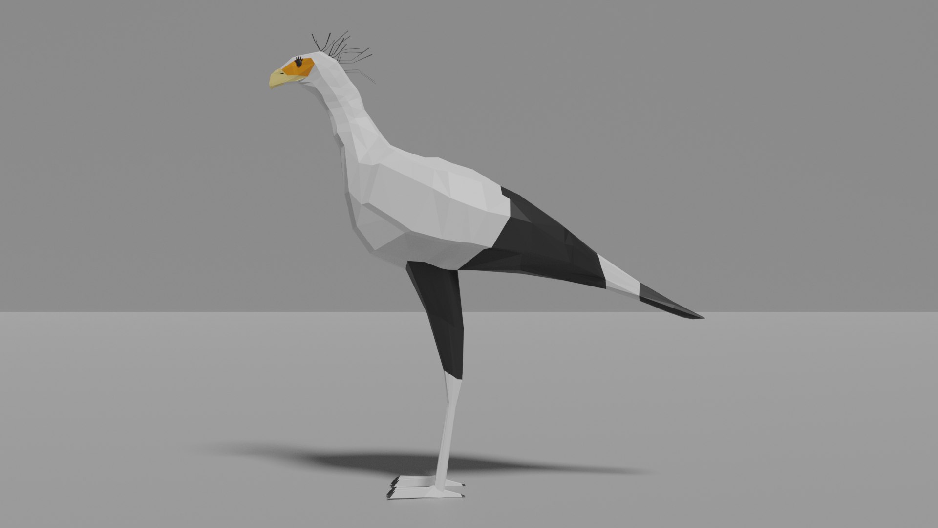 3D Secretary Bird - TurboSquid 1647869