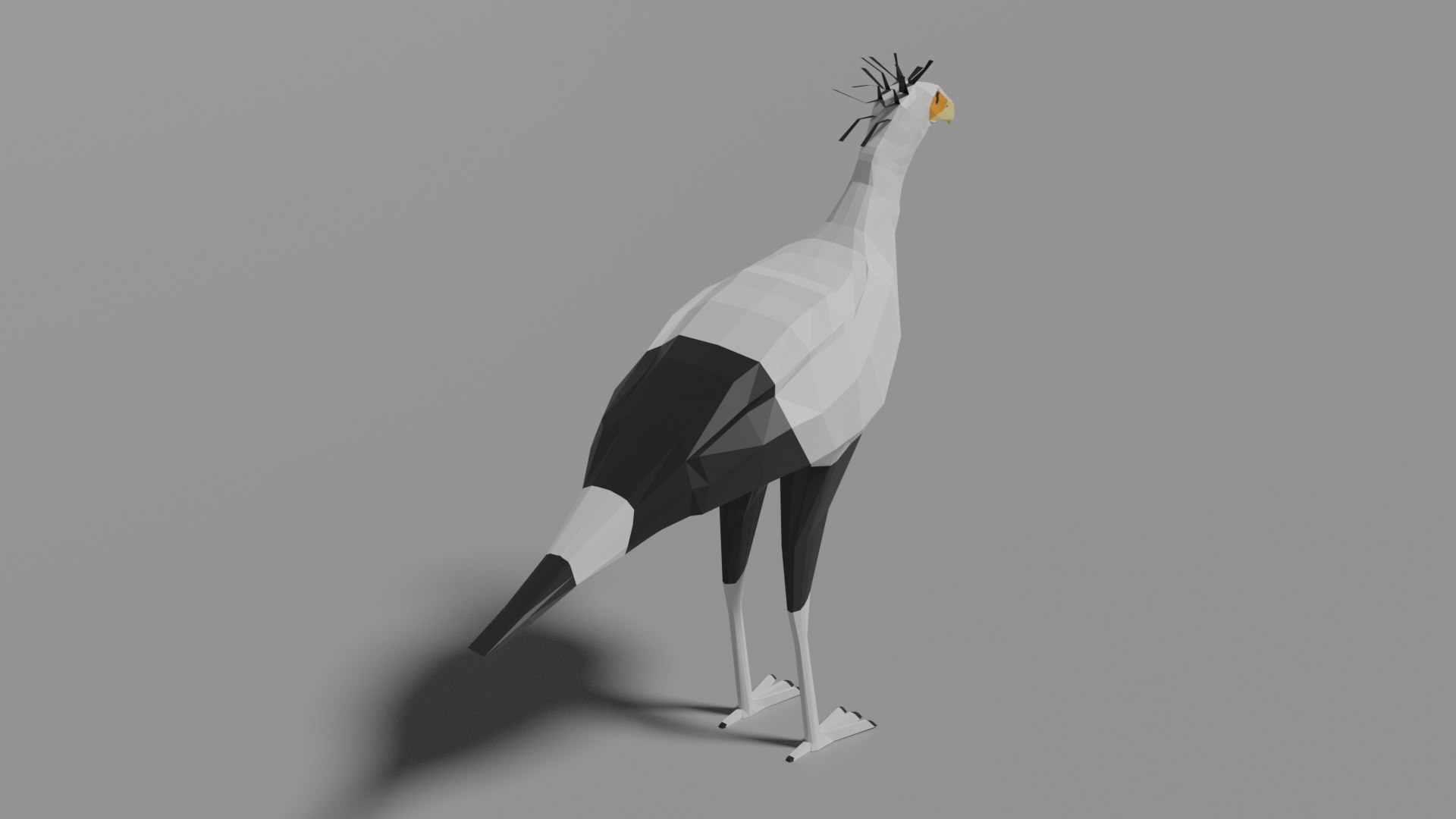 3D Secretary Bird - TurboSquid 1647869