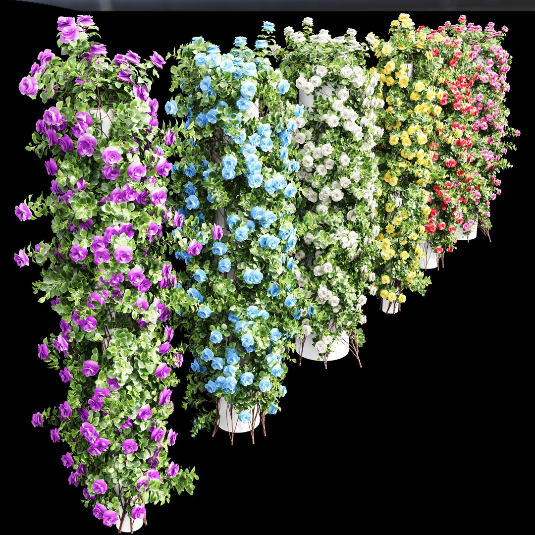 6 Different Climbing Roses 3D Model - TurboSquid 1915321