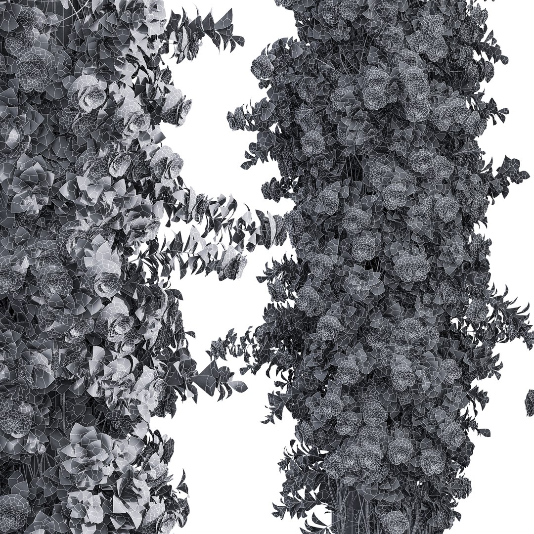 6 Different Climbing Roses 3D Model - TurboSquid 1915321