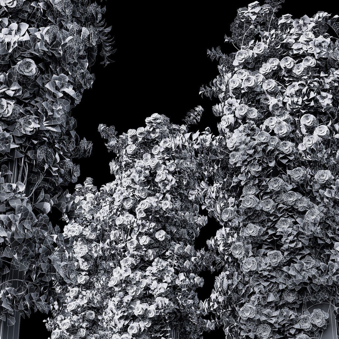 6 Different Climbing Roses 3D Model - TurboSquid 1915321