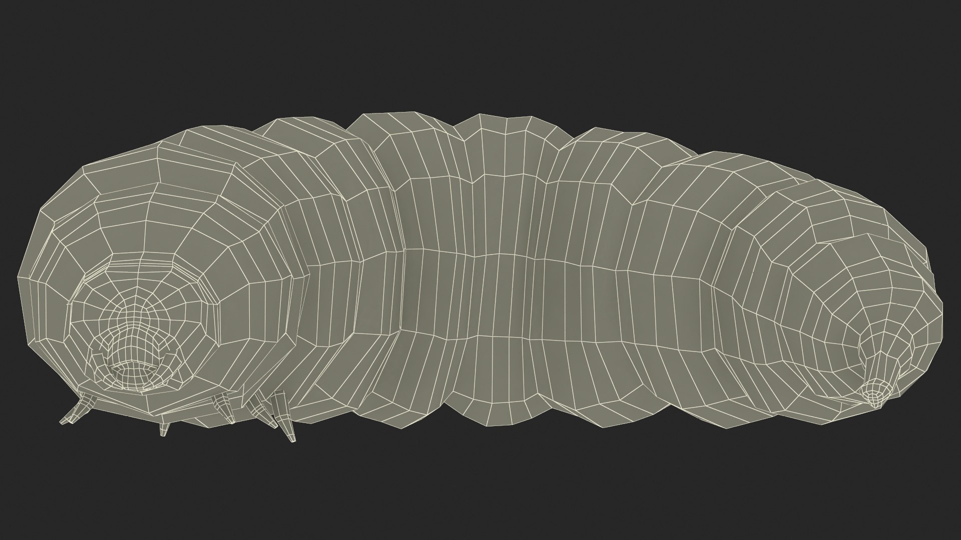Maggot Fly Rigged For Maya 3D Model - TurboSquid 2180195