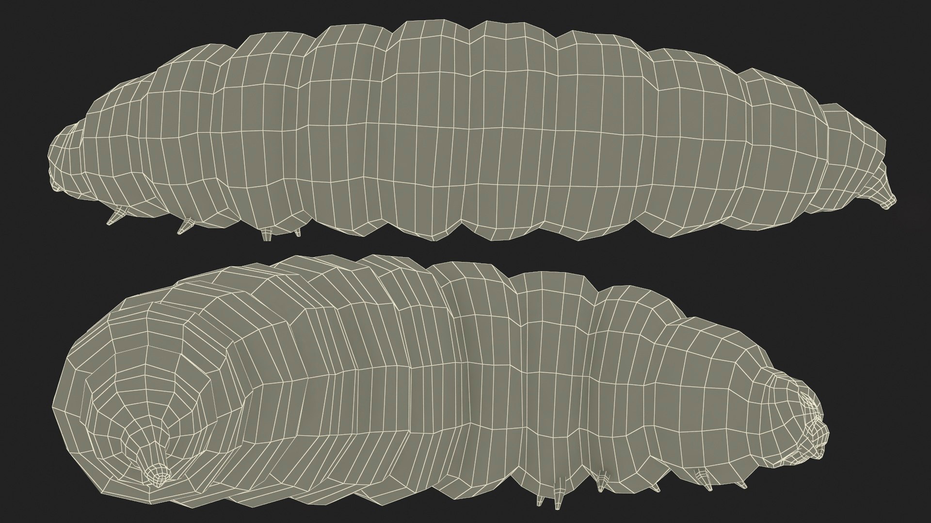 Maggot Fly Rigged For Maya 3D Model - TurboSquid 2180195