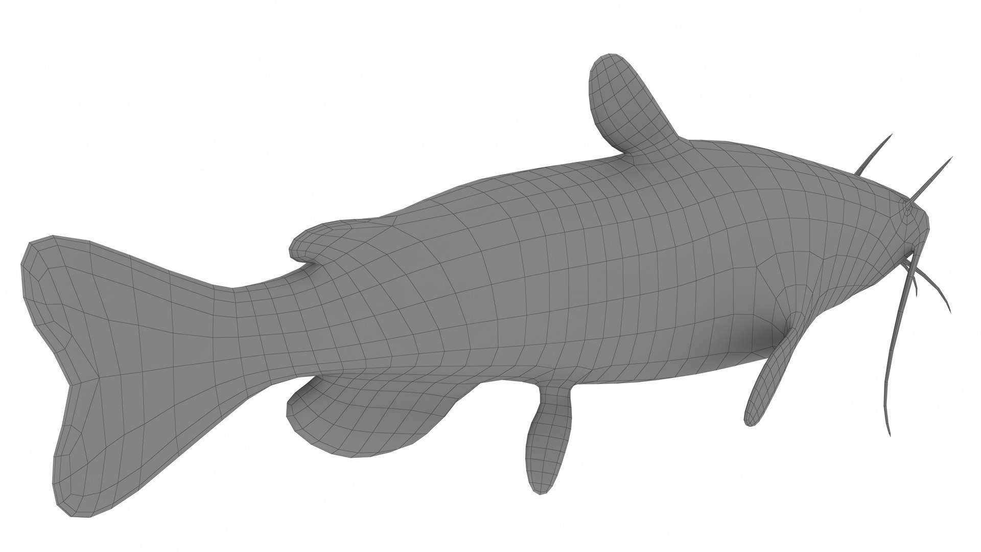 Catfish Model - TurboSquid 2386404