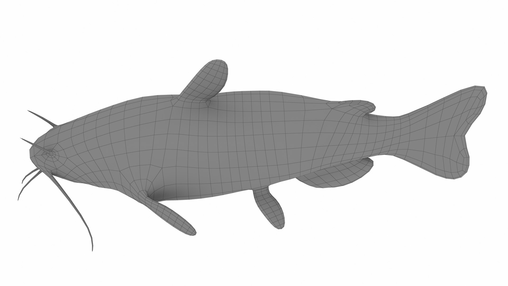 Catfish Model - TurboSquid 2386404