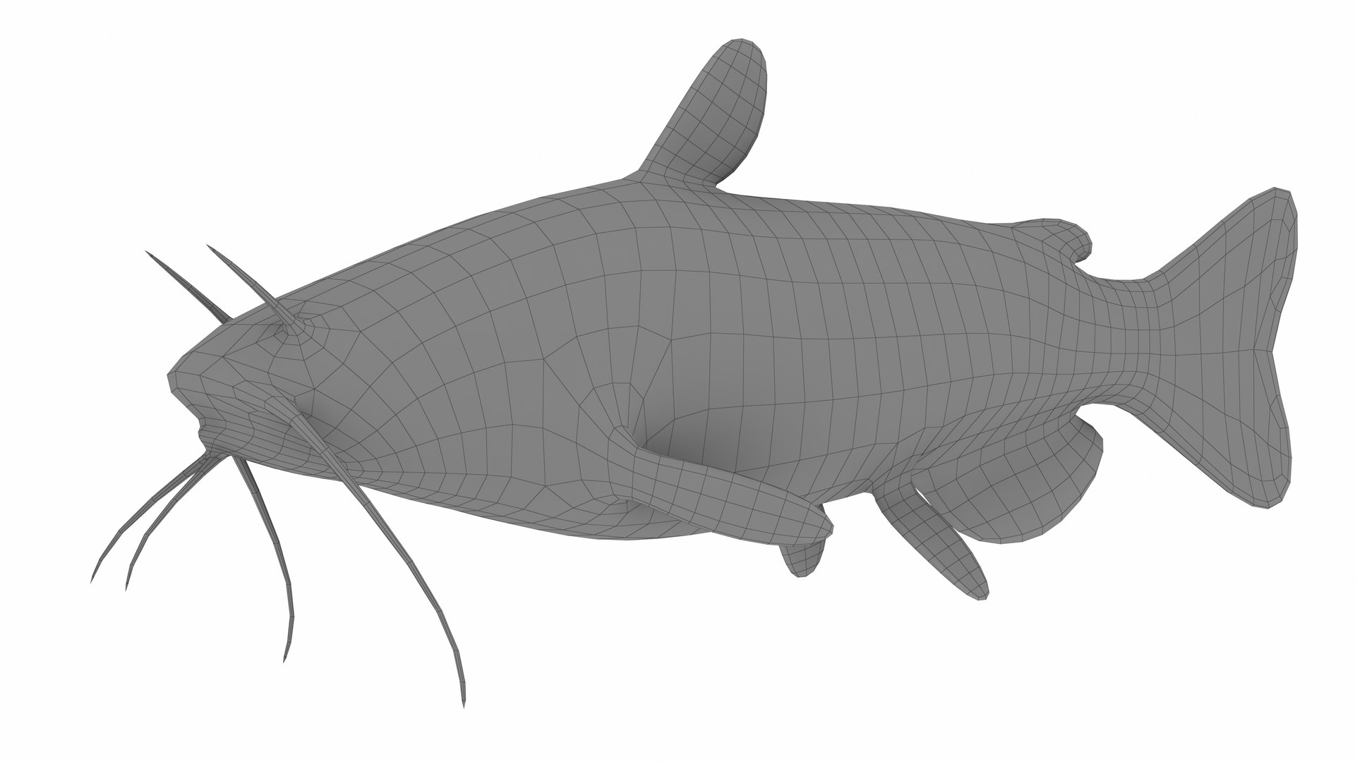 Catfish Model - TurboSquid 2386404