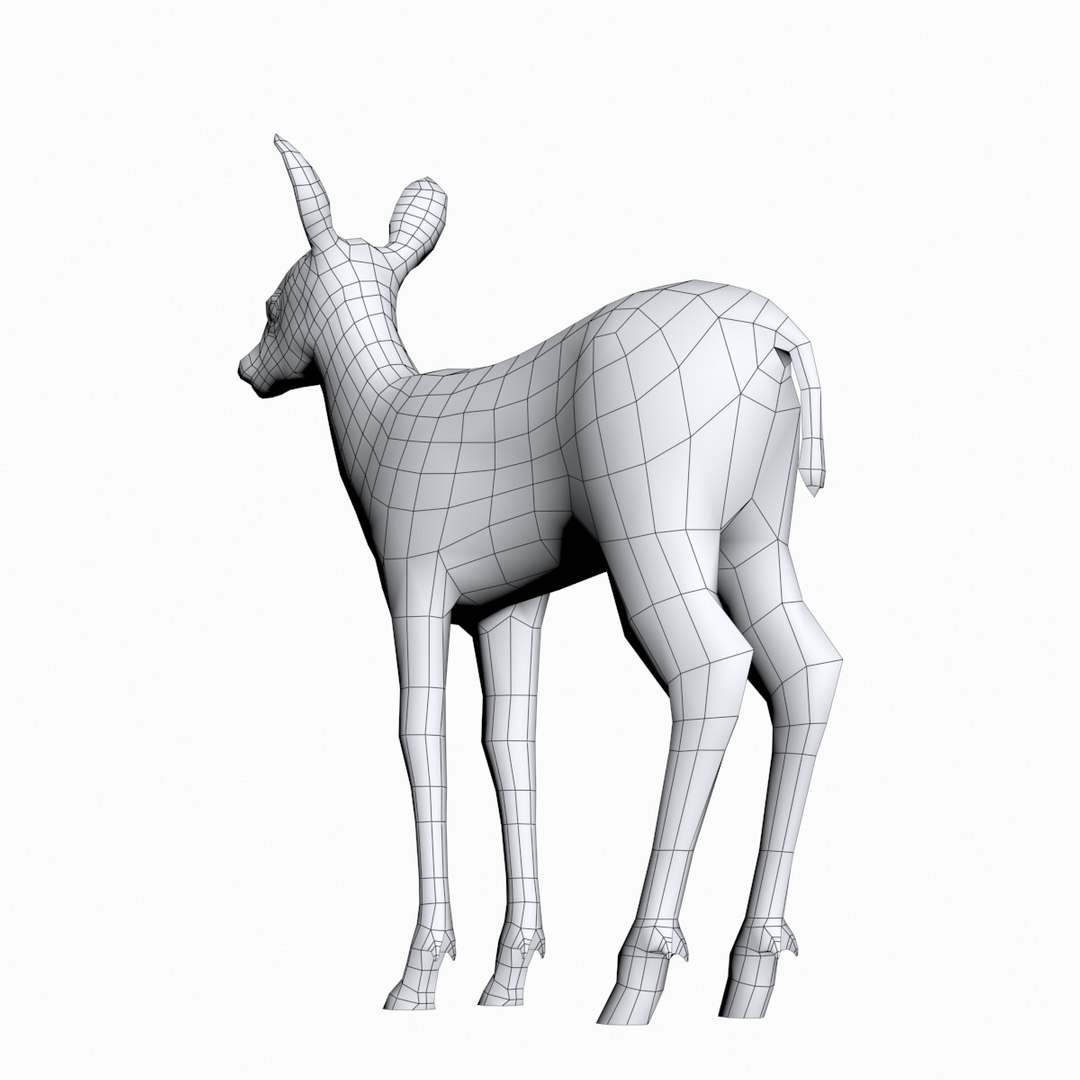 3d 3ds fawn