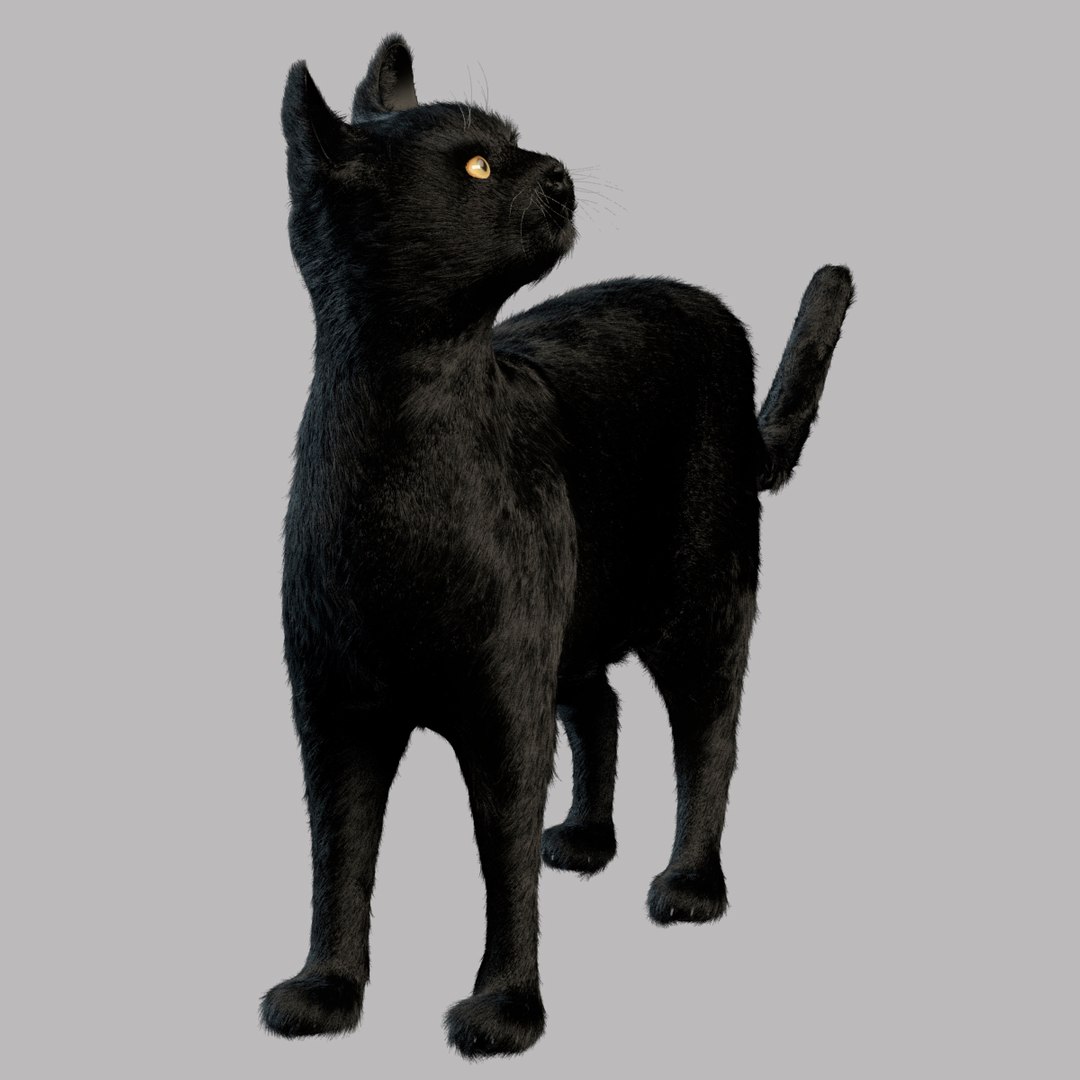 3D Black Cat Fur - TurboSquid 1150062