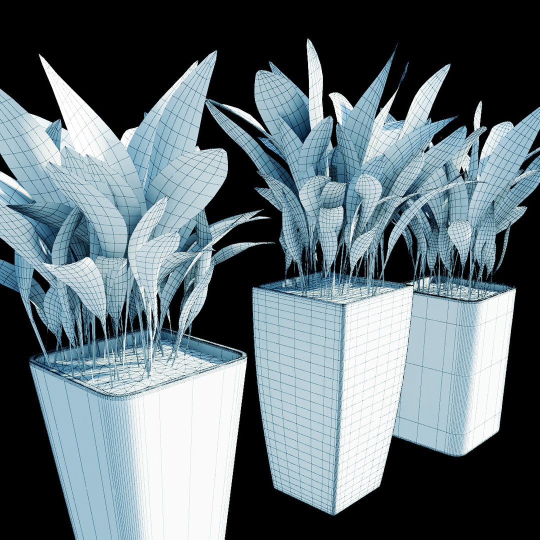 Contemporary Plants Mini 3d Max
