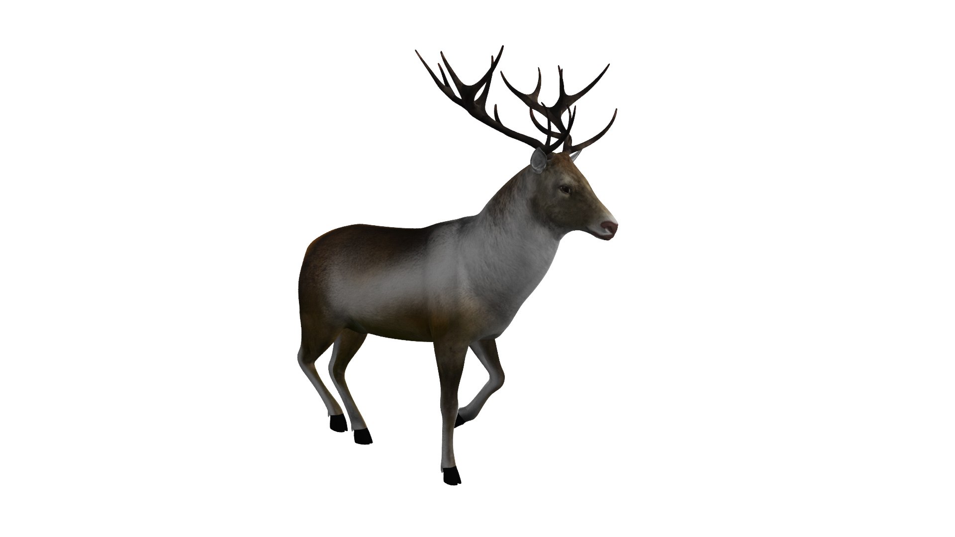 Rigged Reindeer Animations 3D Model - TurboSquid 1376469