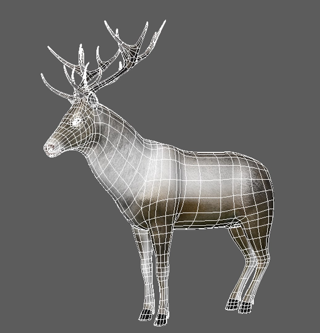 Rigged Reindeer Animations 3D Model - TurboSquid 1376469