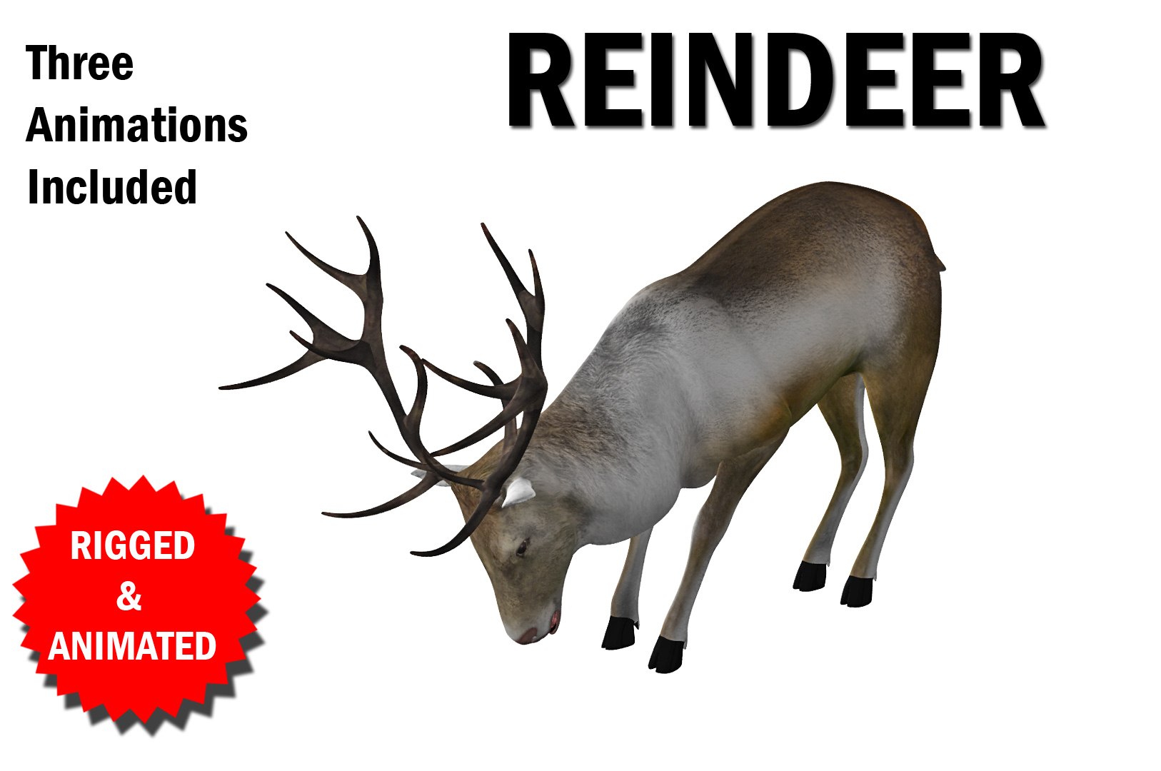 Rigged Reindeer Animations 3D Model - TurboSquid 1376469