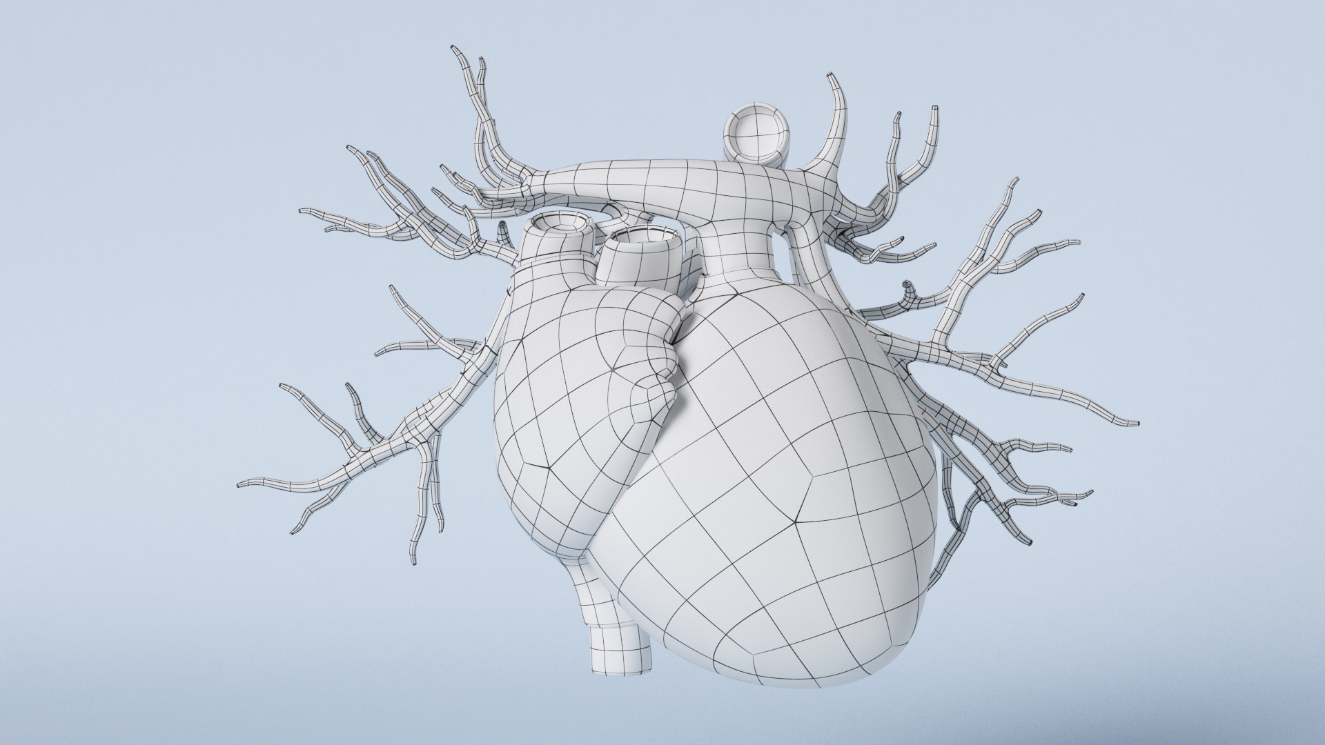 3D trachea heart lungs model - TurboSquid 1570805