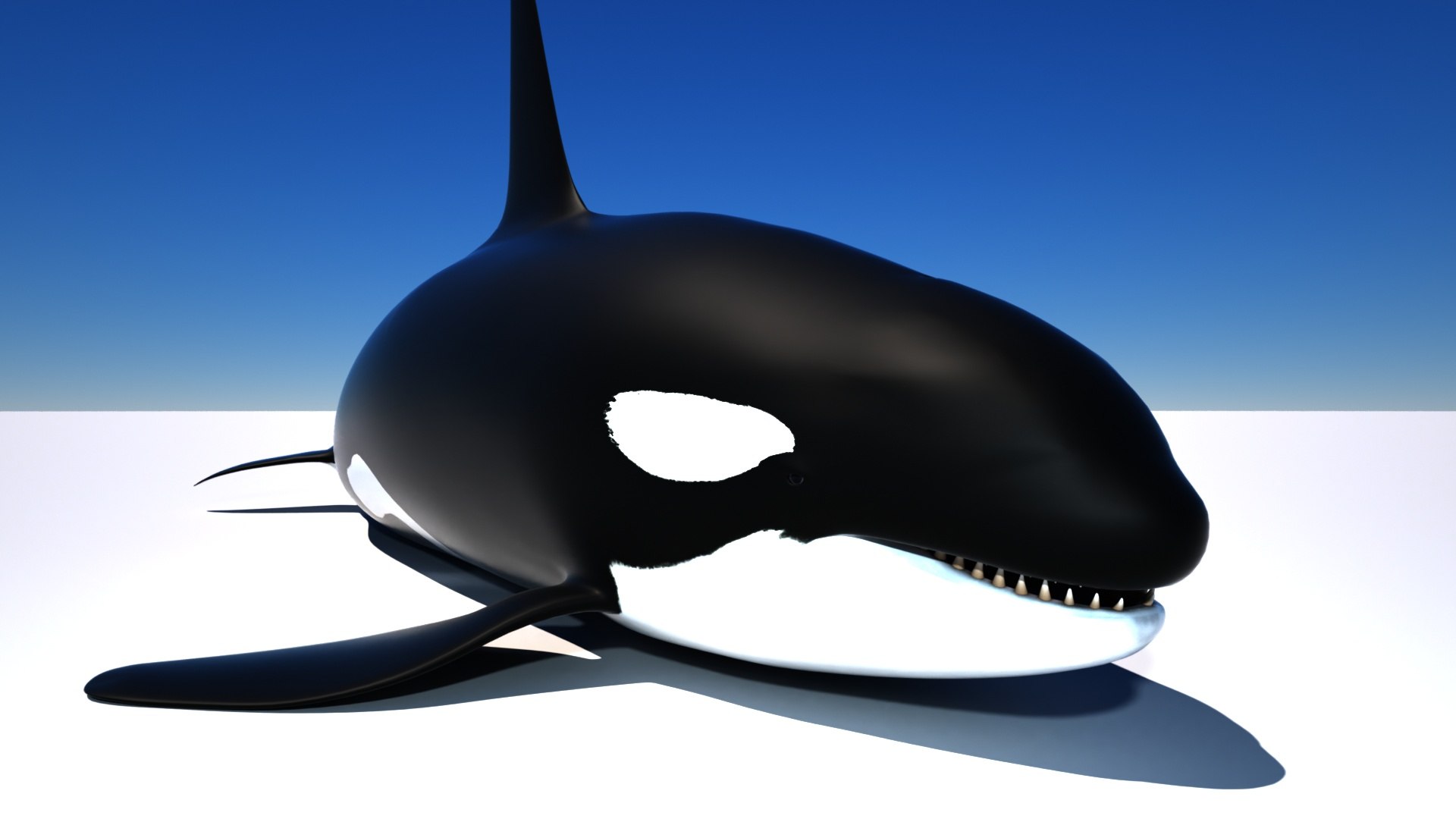 Orca Supporting Octane Model - TurboSquid 1404925