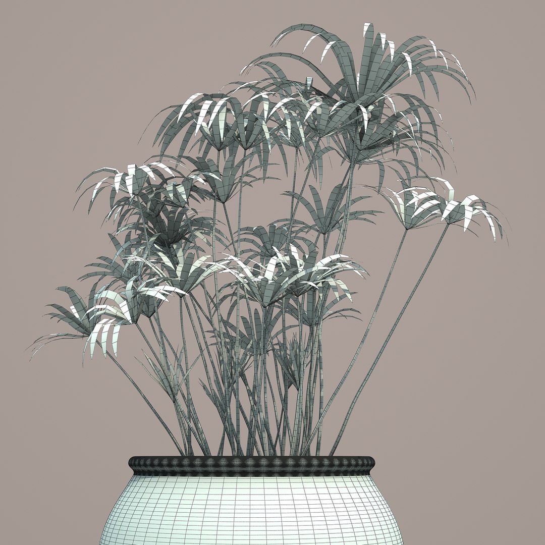 Plant 3d Obj
