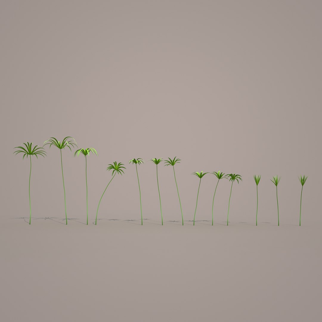 Plant 3d Obj