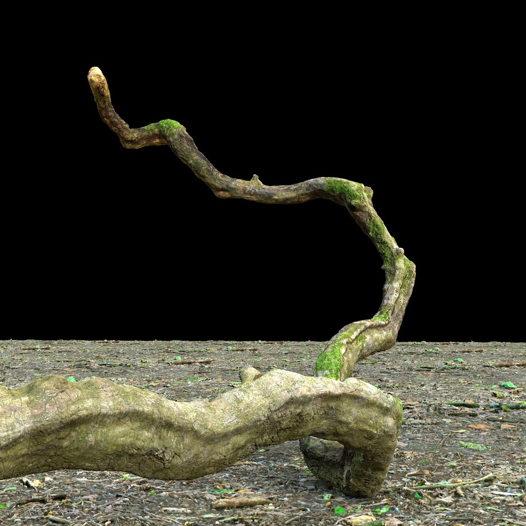 Branch 3D model - TurboSquid 1180123