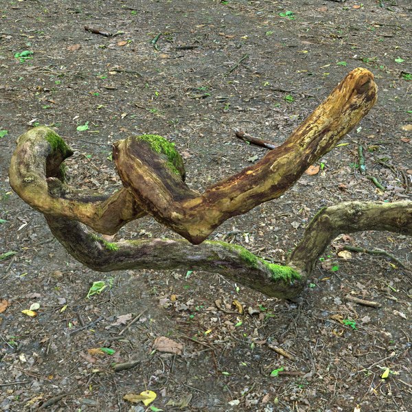 Tree log model - TurboSquid 1177984