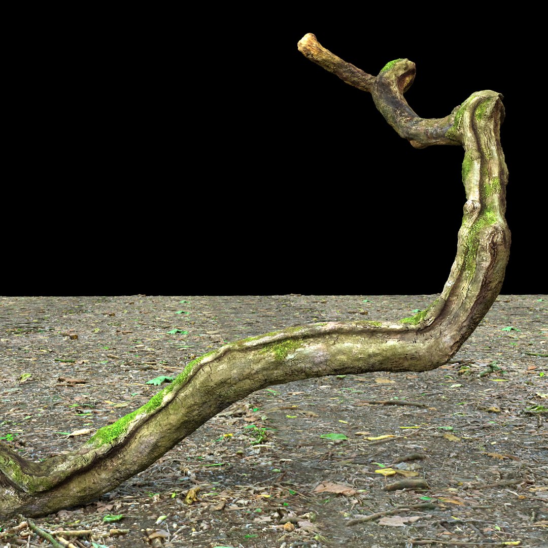 Branch 3D model - TurboSquid 1180123