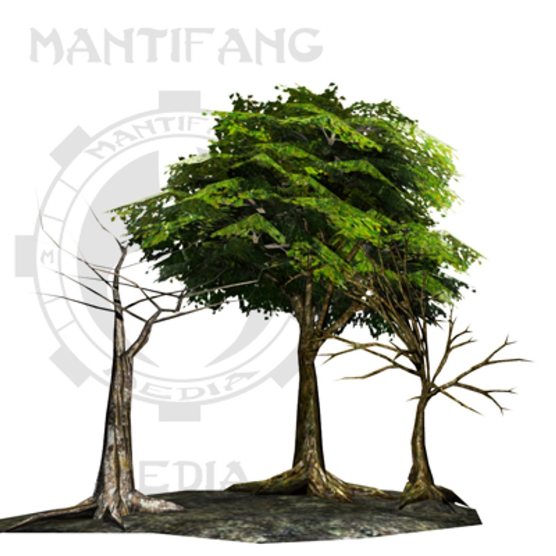 3d Country Tree Foilage Model