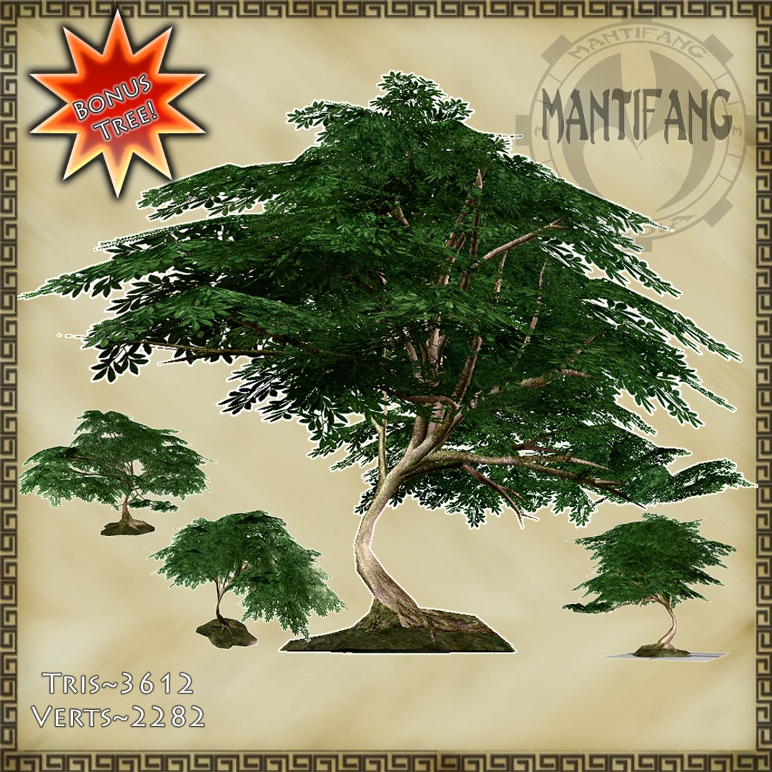 3d Country Tree Foilage Model