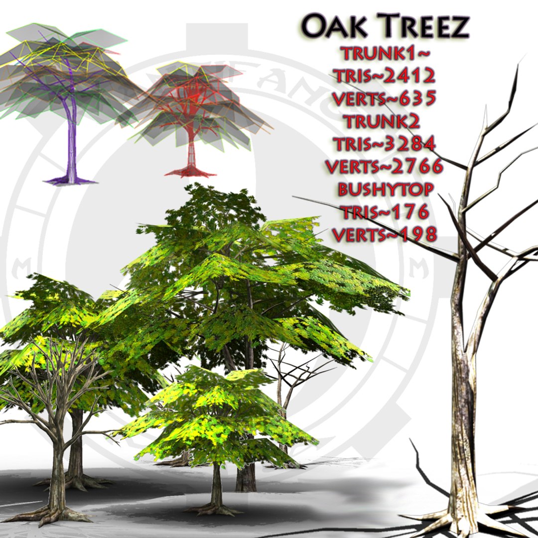3d Country Tree Foilage Model